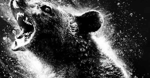 O Urso do Pó Branco chega aos cinemas: Conheça essa comédia inusitada ...