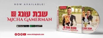 Micha Gamerman lança seu novo álbum infantil - MF Press Entretenimento