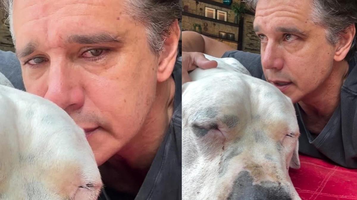 Morre Dogo, cachorro de Márcio Garcia que enfrentava câncer - Famosos ...
